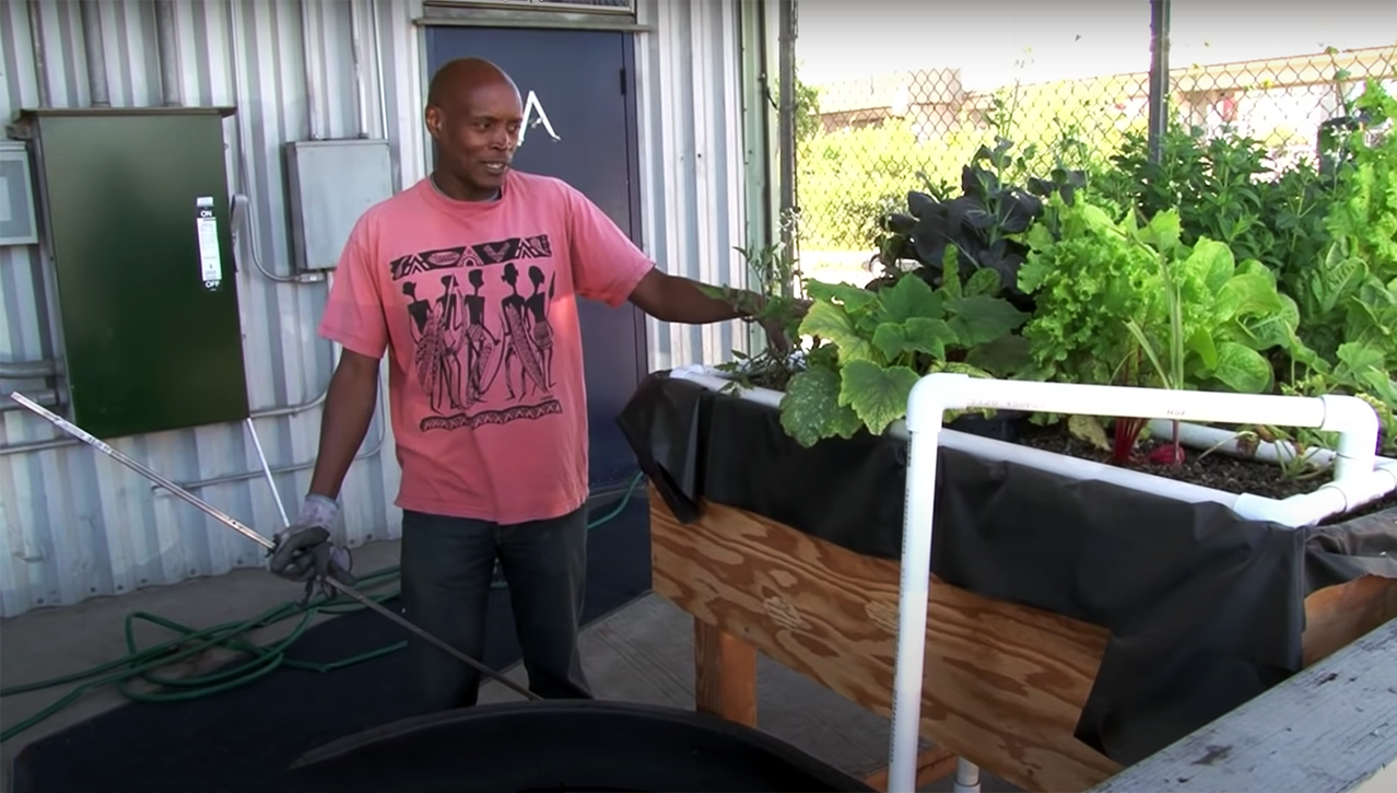 Internet of food: Arduino-based, urban aquaponics in Oakland ...