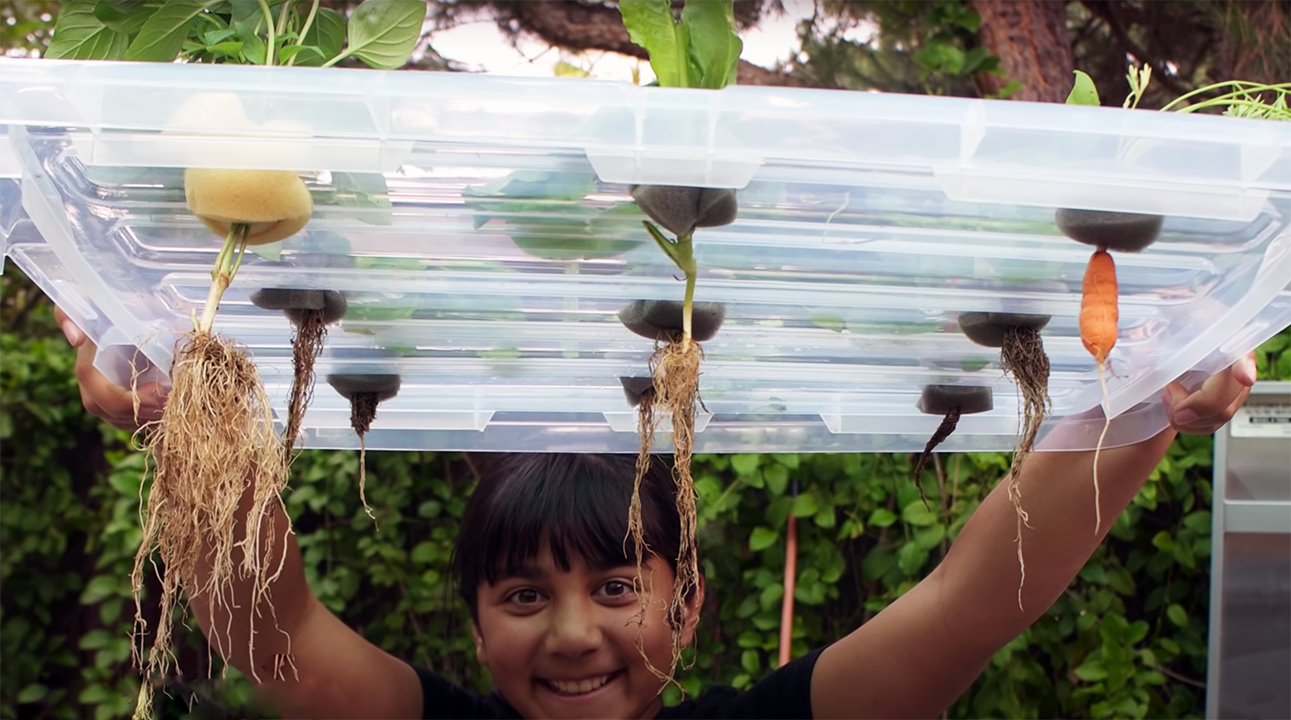 Teens create automated aeroponics garden kit with NASA tech ...