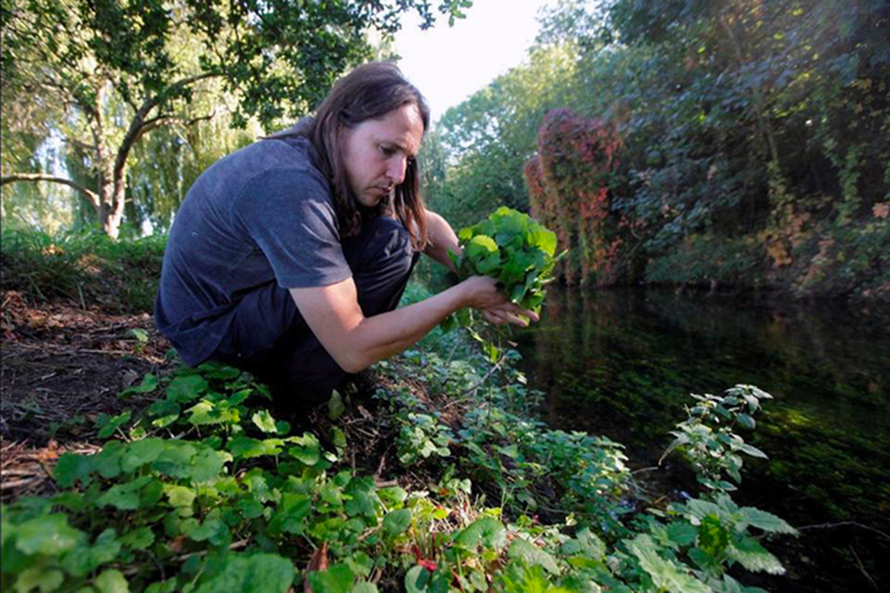 Learning from Hadza hunter-gatherers and their honey strategy ...